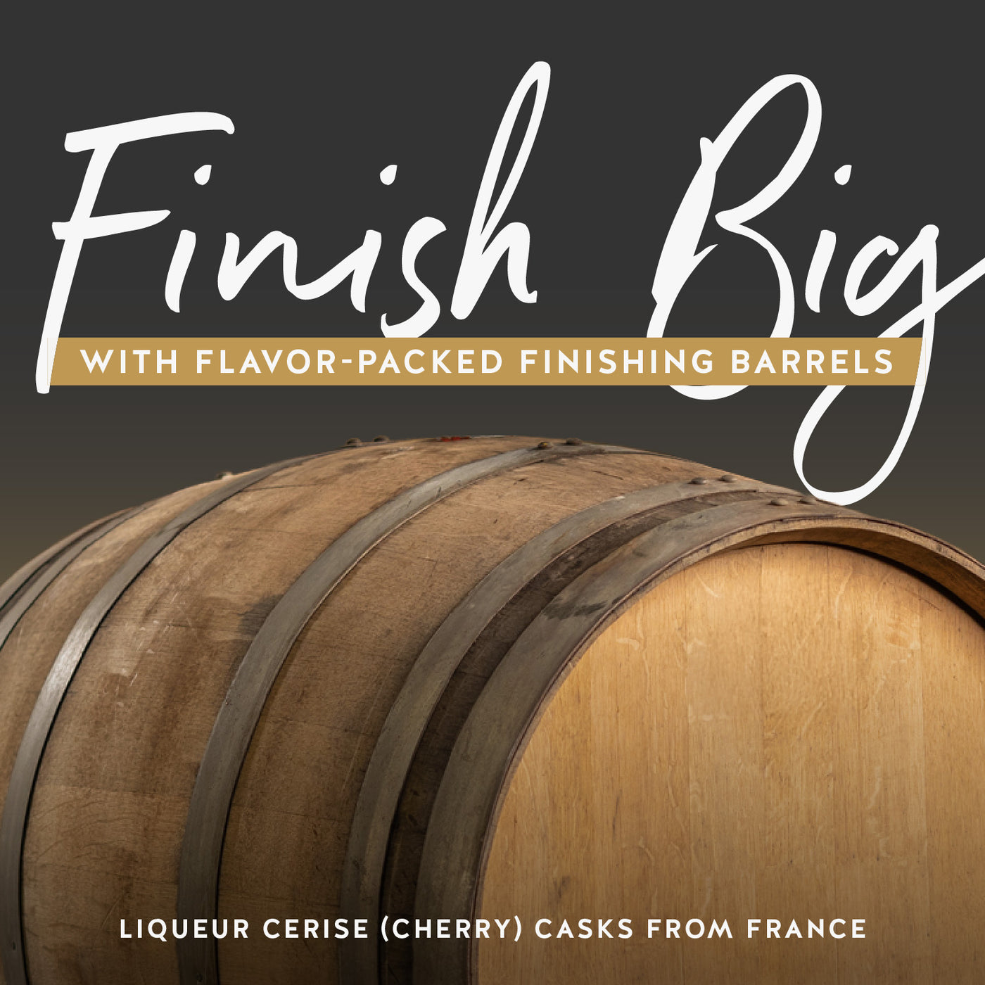 Small Format Barrels for Homebrewing, Aging & Decor